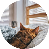 Agencia Kame - Onepage